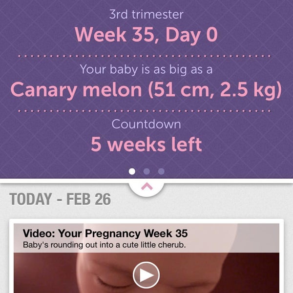 WISMA SHELL (Shell Business Operations KL)