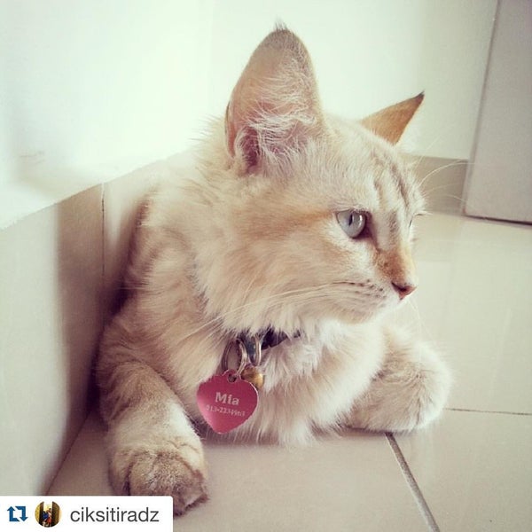 Photos at WISMA SHELL (Shell Business Operations KL)