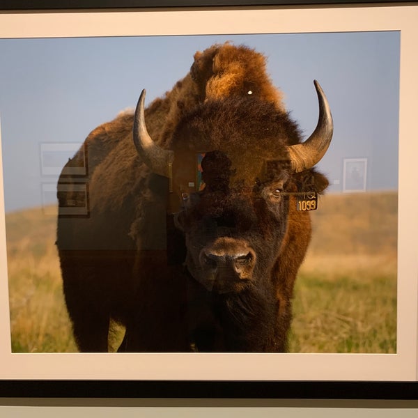 Booth Western Art Museum - 19 tips from 449 visitors