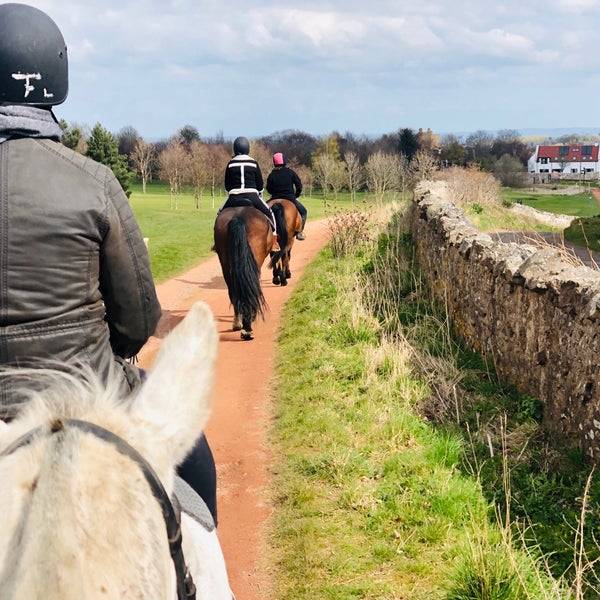 Tower Farm Riding Stables - Liberton - 20 visitors