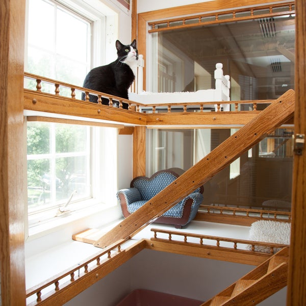 Morris Animal Inn - 120 Sand Spring Road