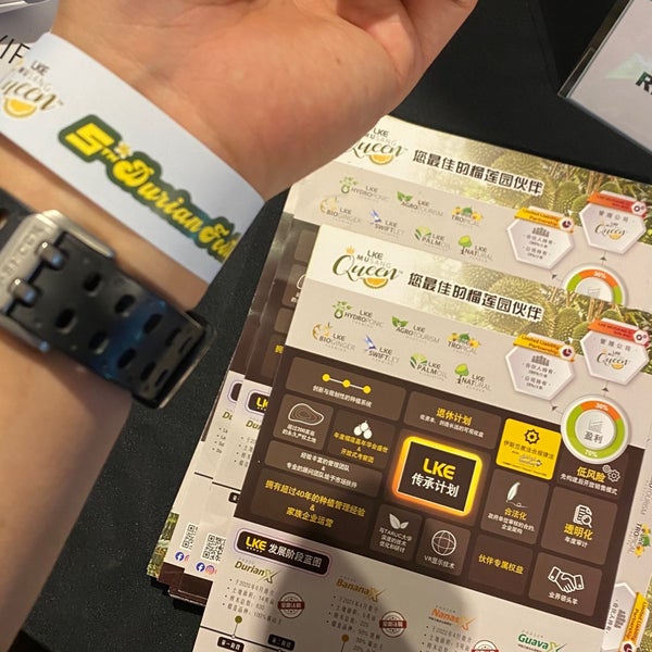 DKING SS2 帝一榴 - 1 tip