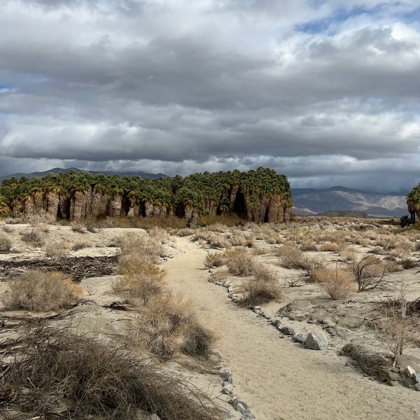 Thousand Palms Oasis Preserve - Nature Preserve