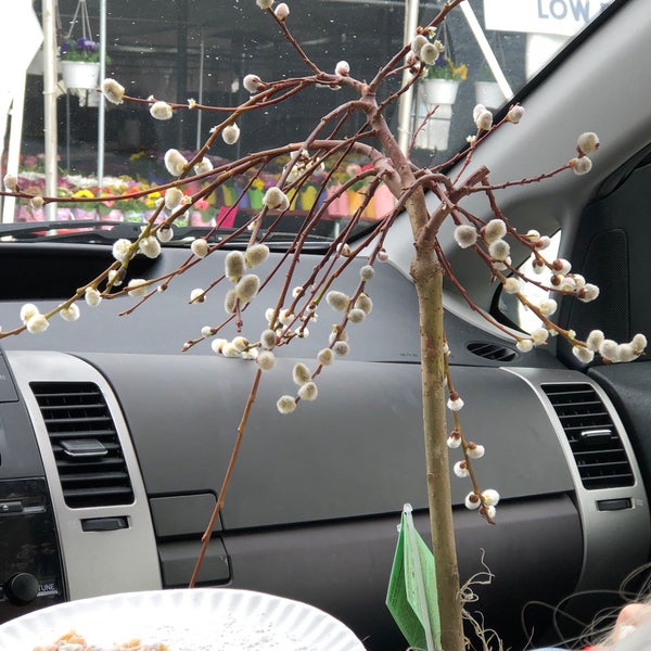 Dave's Super Duper - Grocery Store