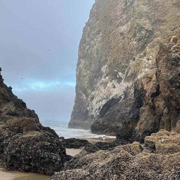 Arch Cape - Arch Cape, OR