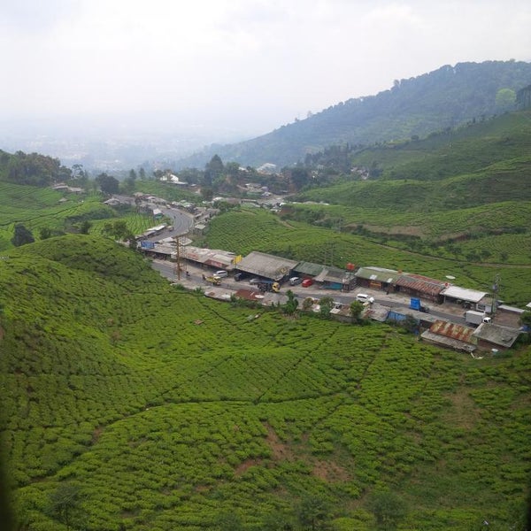 Rindu Alam - Puncak Pass - Bogor, Jawa Barat