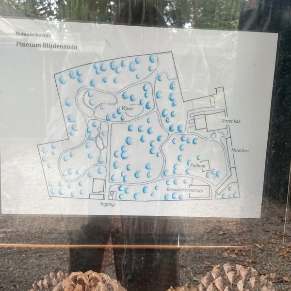Pinetum Blijdestein - Hilversum, Noord-Holland