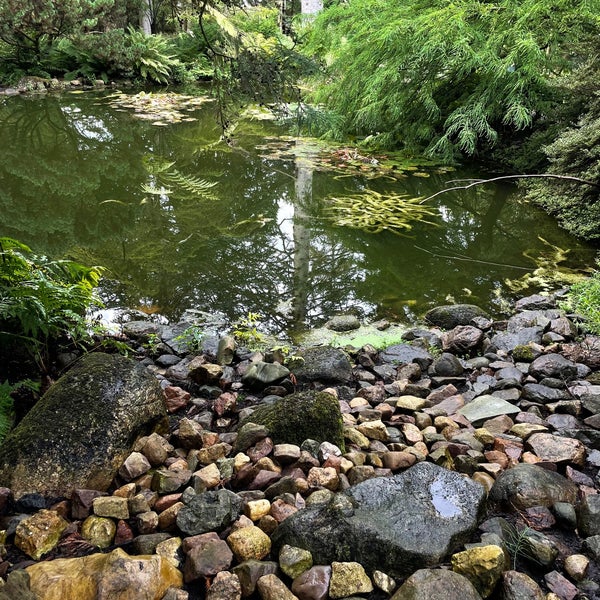 Pinetum Blijdestein - Hilversum, Noord-Holland