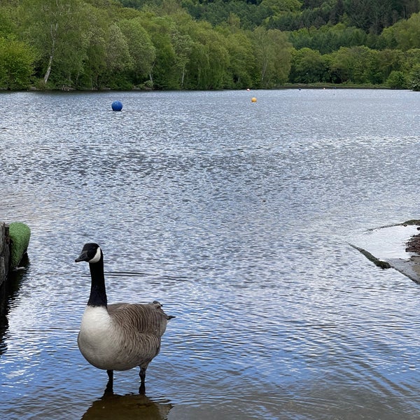 Etherow Country Park - 5 tips