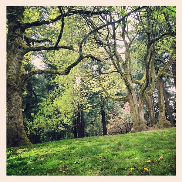 Mt. Tabor Park - Portland, OR