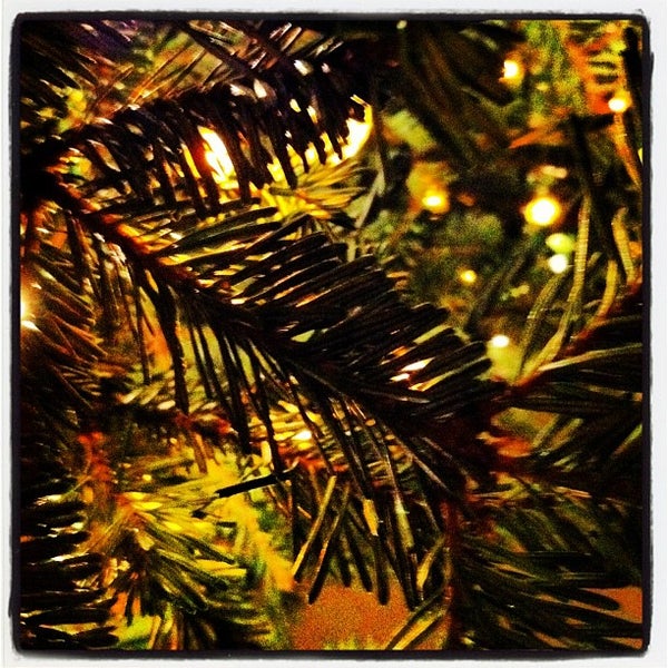 Plaza Cupey Gardens - Structure in Cupey/Río Piedras