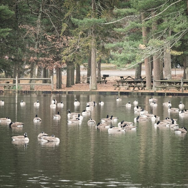 Ocean County Park - Hiking Trail in Lakewood