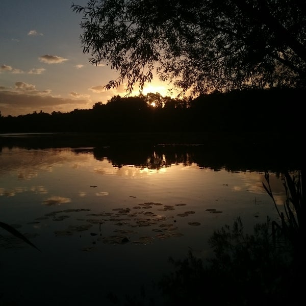Fendrod Lake - Llansamlet, Swansea, City and County of Swansea - 3 tips