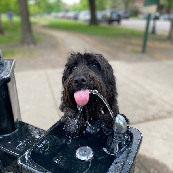 Palmer Square Park - Logan Square - 3074 W Palmer Blvd