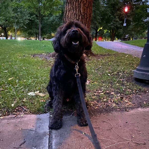 Palmer Square Park - Logan Square - 3074 W Palmer Blvd