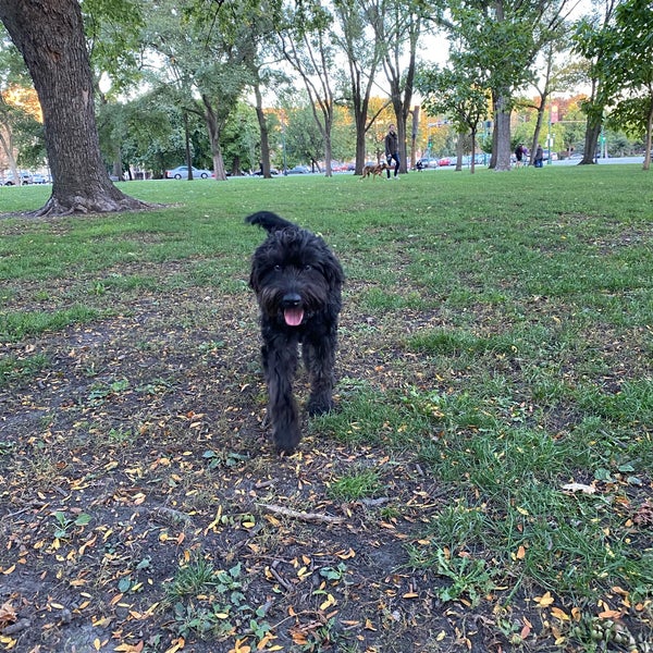Palmer Square Park - Logan Square - 3074 W Palmer Blvd