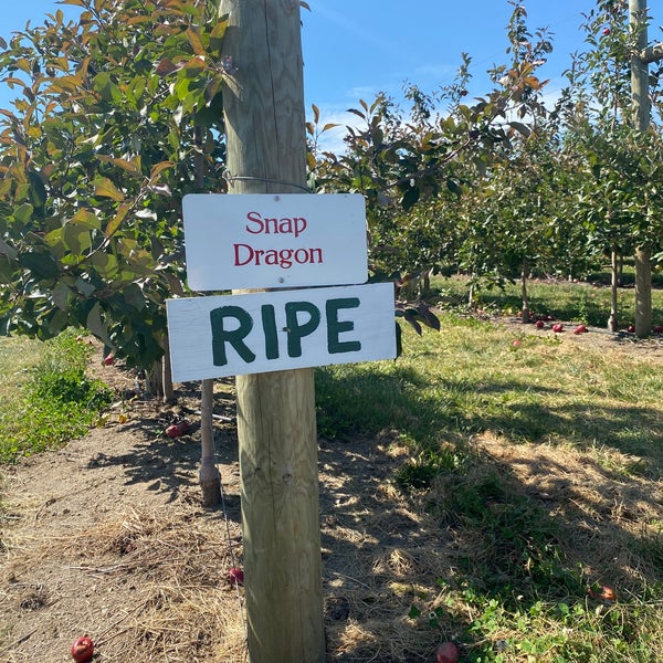 Samascott Orchards - 5 Sunset Ave