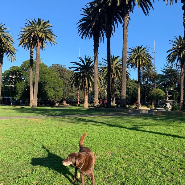 Redfern Park - 10 tips