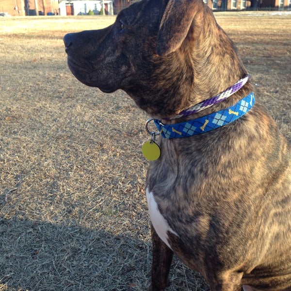Pontiac Square Park - Soulard - 2 tips