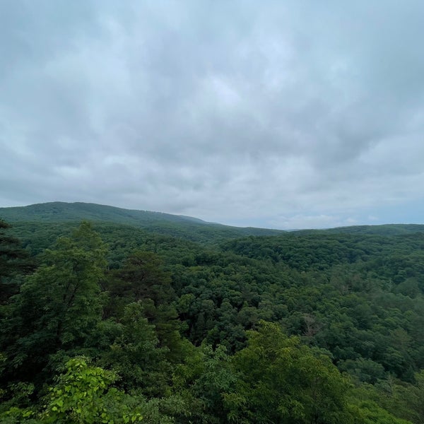 Green Ridge State Forest - Forest in Flintstone