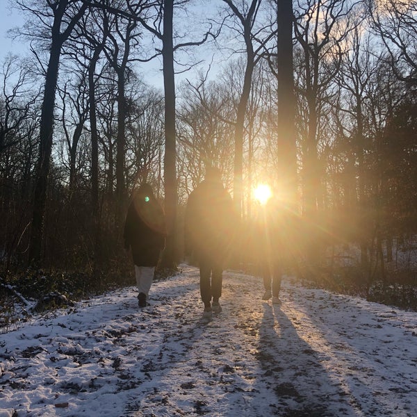 Meerdaalwoud - Forest in Oud-Heverlee