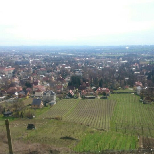 Photos at Panoramarestaurant Spitzhaus - Diner in Radebeul