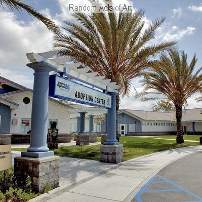 spcaLA PD Pitchford Companion Animal Village & Education Center - 2 ...