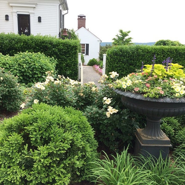 Moss Mountain Farm - Farm in Roland