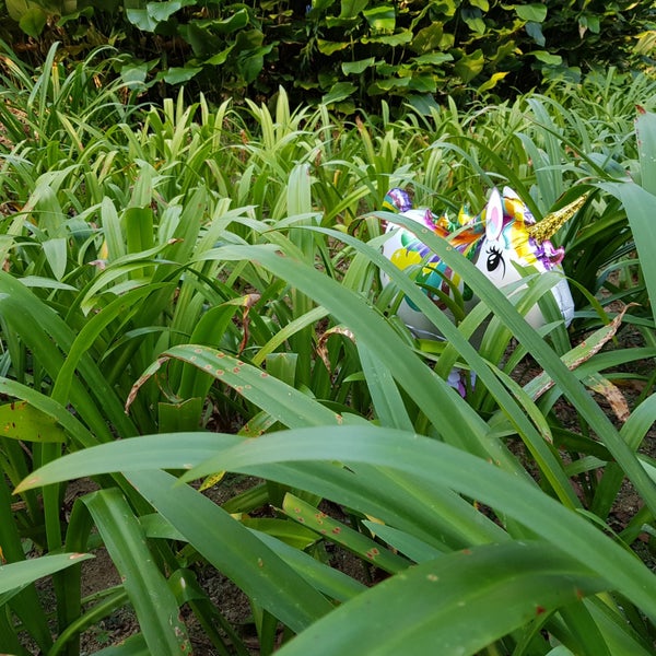 Aloha Resort Changi - Resort in Changi