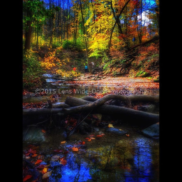 Blue Hen Falls - 13 tips from 510 visitors