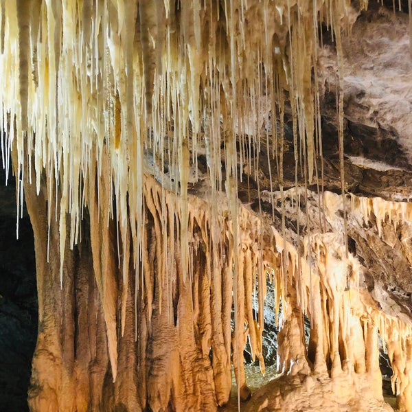 Marakoopa Caves - Mole Creek, TAS