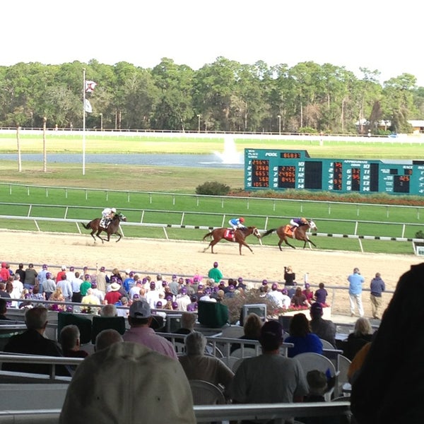 Photos at Tampa Bay Downs - Racetrack