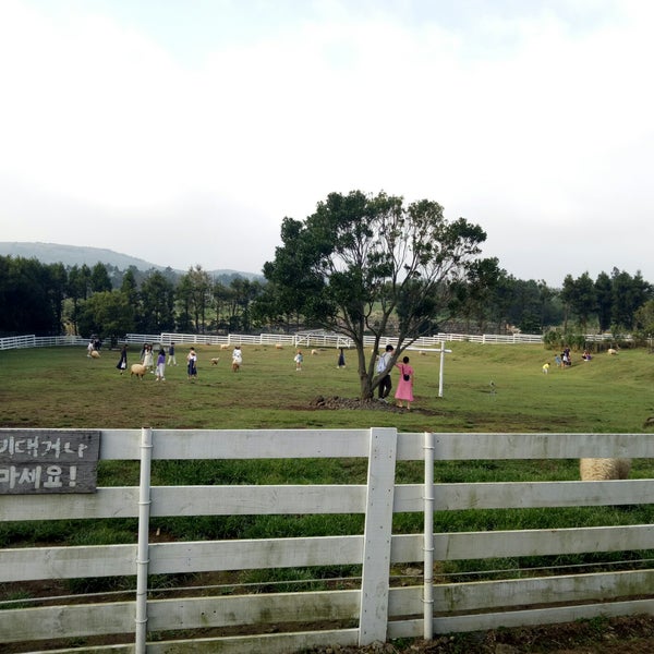 Baalamb In Jeju - 1 tip from 52 visitors