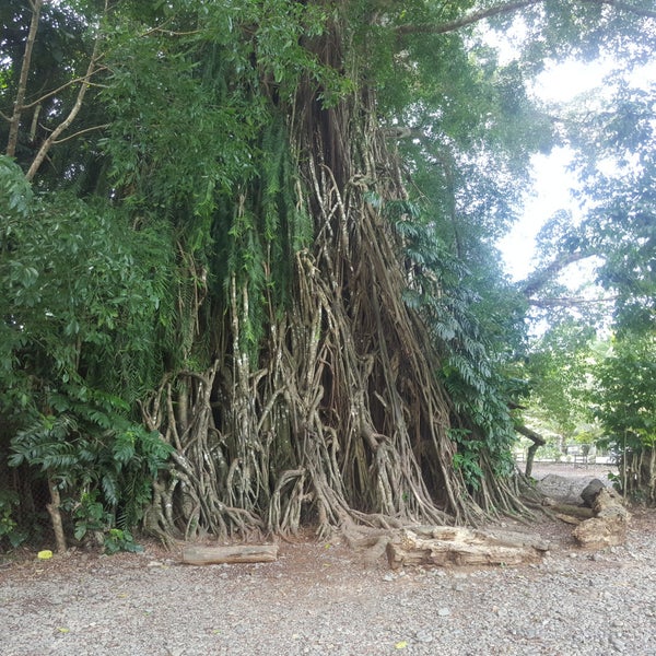 Balete Park
