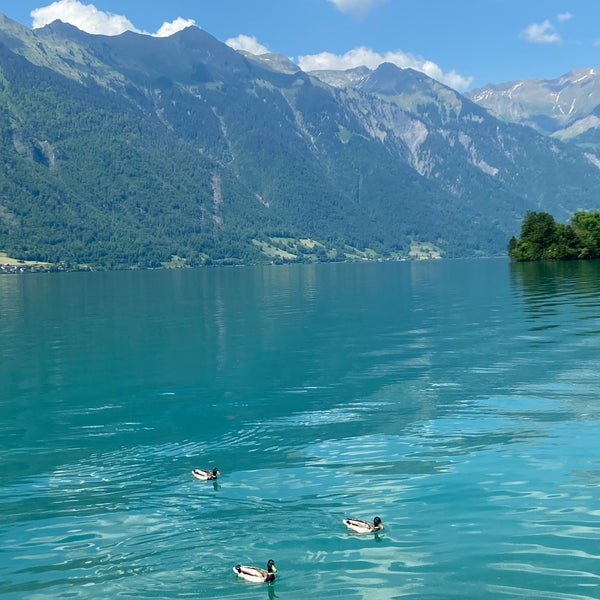 Brienzersee - 15 tips from 1560 visitors