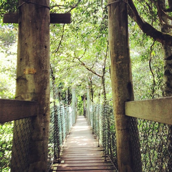 Photos at O'Reilly's Tree Top Walk - Hiking Trail