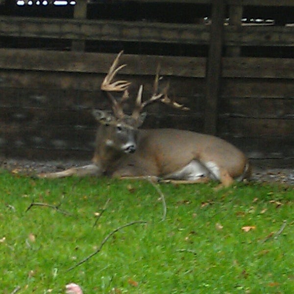 Double Diamond Deer Ranch - Farm