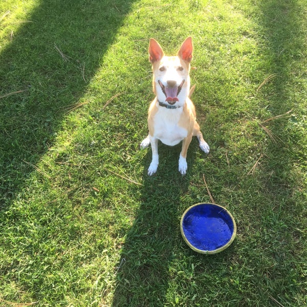 Photos at Buddy Todd Park - 2 tips