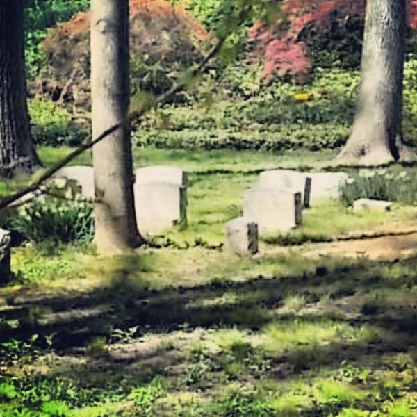 Photos at Friends Cemetery - Prospect Park - Brooklyn, NY