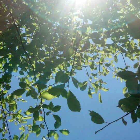 Photos at Ibach Park - Sherwood - Tualatin South - Tualatin, OR