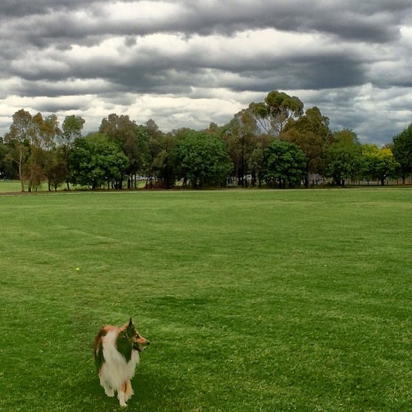 Aberfeldie Park - Dog Park