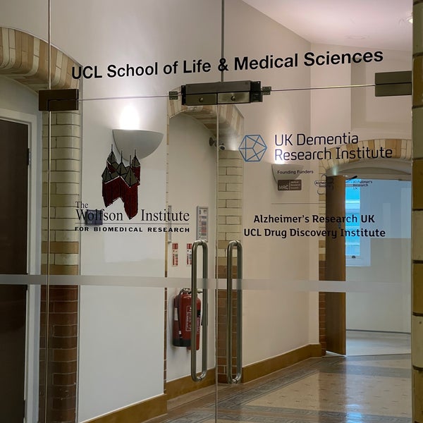 UCL Cruciform Building - Bloomsbury - London, Greater London