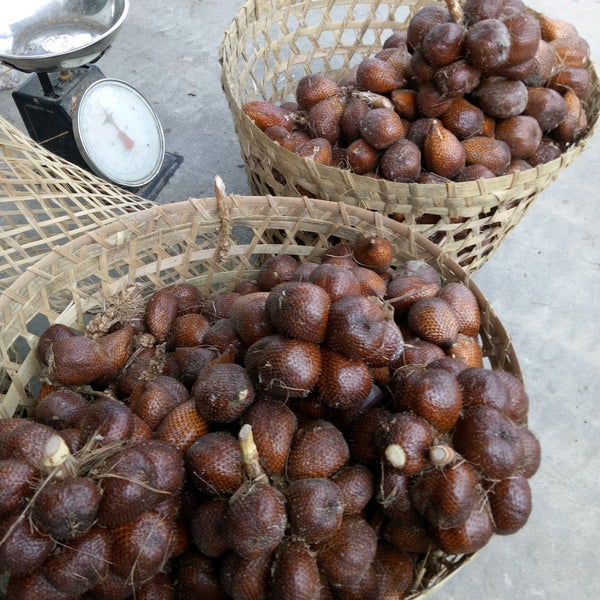 Buah Salak Pondoh