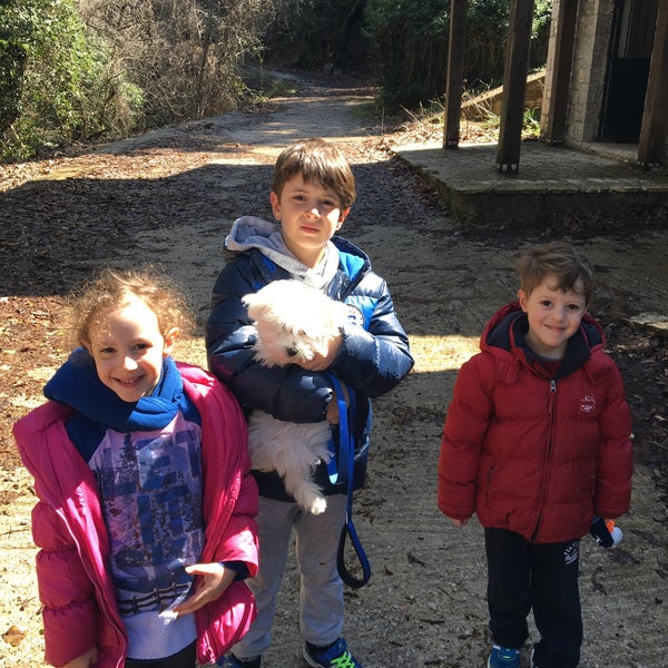 Photos at Parkaki Dentrospita - Forest in Payliani