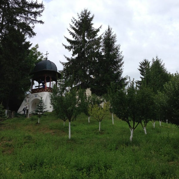 Schit Trivale - Padurea Trivale