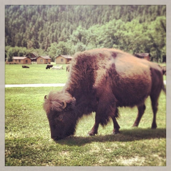 Coolidge General Store - Custer, SD