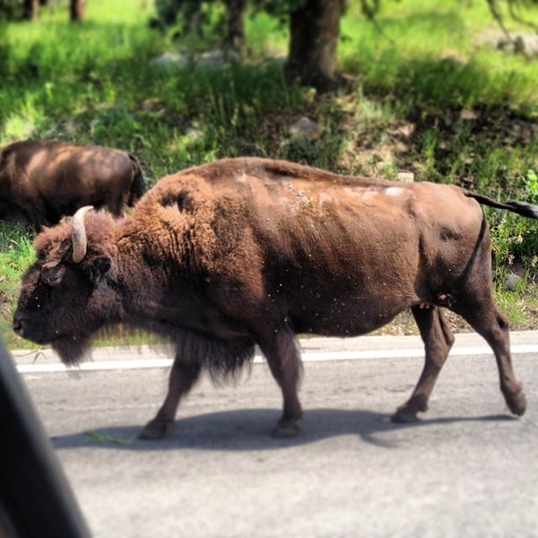 Coolidge General Store - Custer, SD