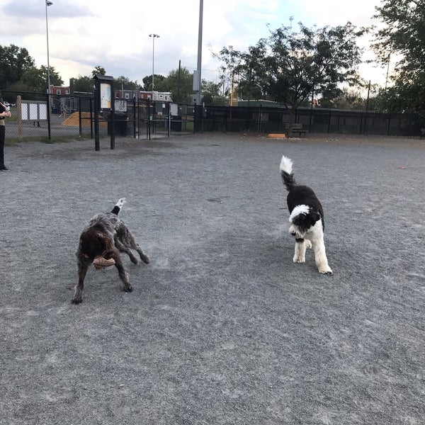 Simpson Stadium Park Dog Park - Del Ray - 2 tips