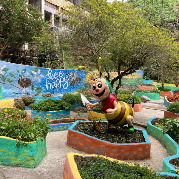 Bee Farm Cameron Highland - 20 tips