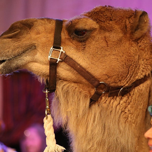 NarroWay Theatre - 5 tips from 115 visitors